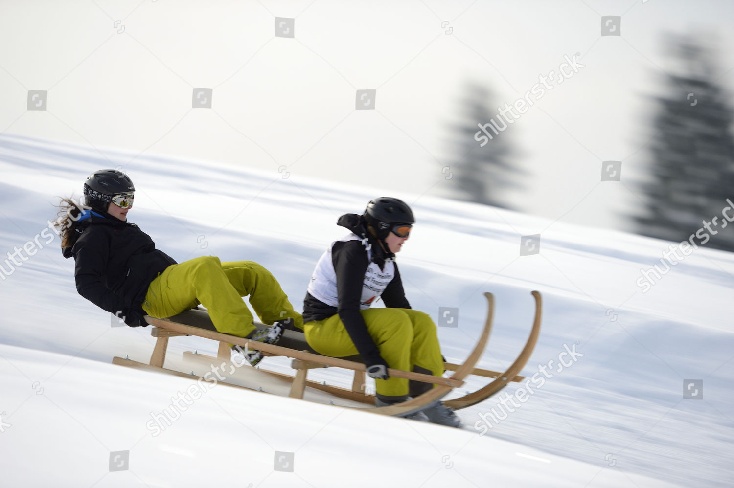 Horn Sledge Full Speed Editorial Stock Photo - Stock Image | Shutterstock