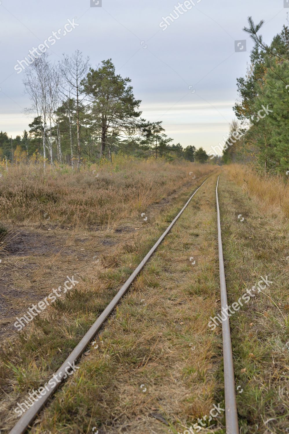 Tracks Narrowgauge Peat Railway Editorial Stock Photo - Stock Image ...