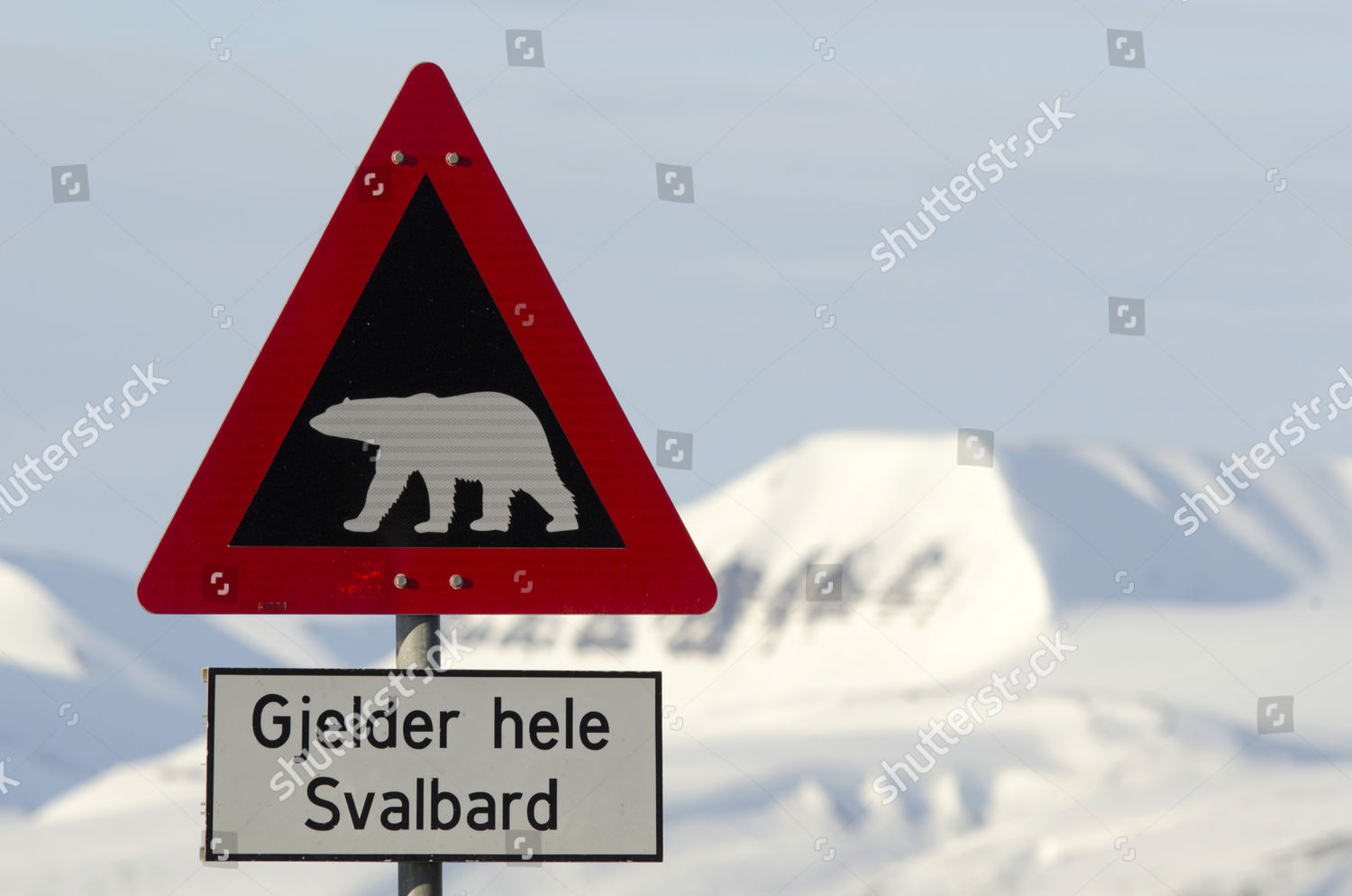 Polar Bear Warning Sign Editorial Stock Photo - Stock Image | Shutterstock