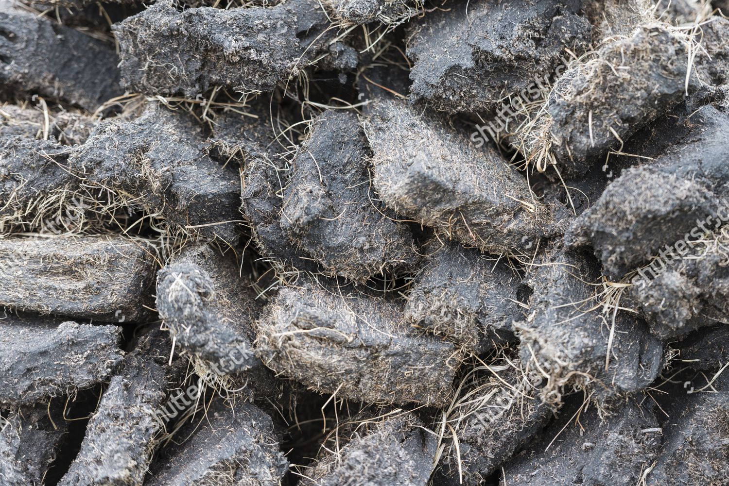 Stack Extracted Peat Scottish Highland Moors Editorial Stock Photo ...