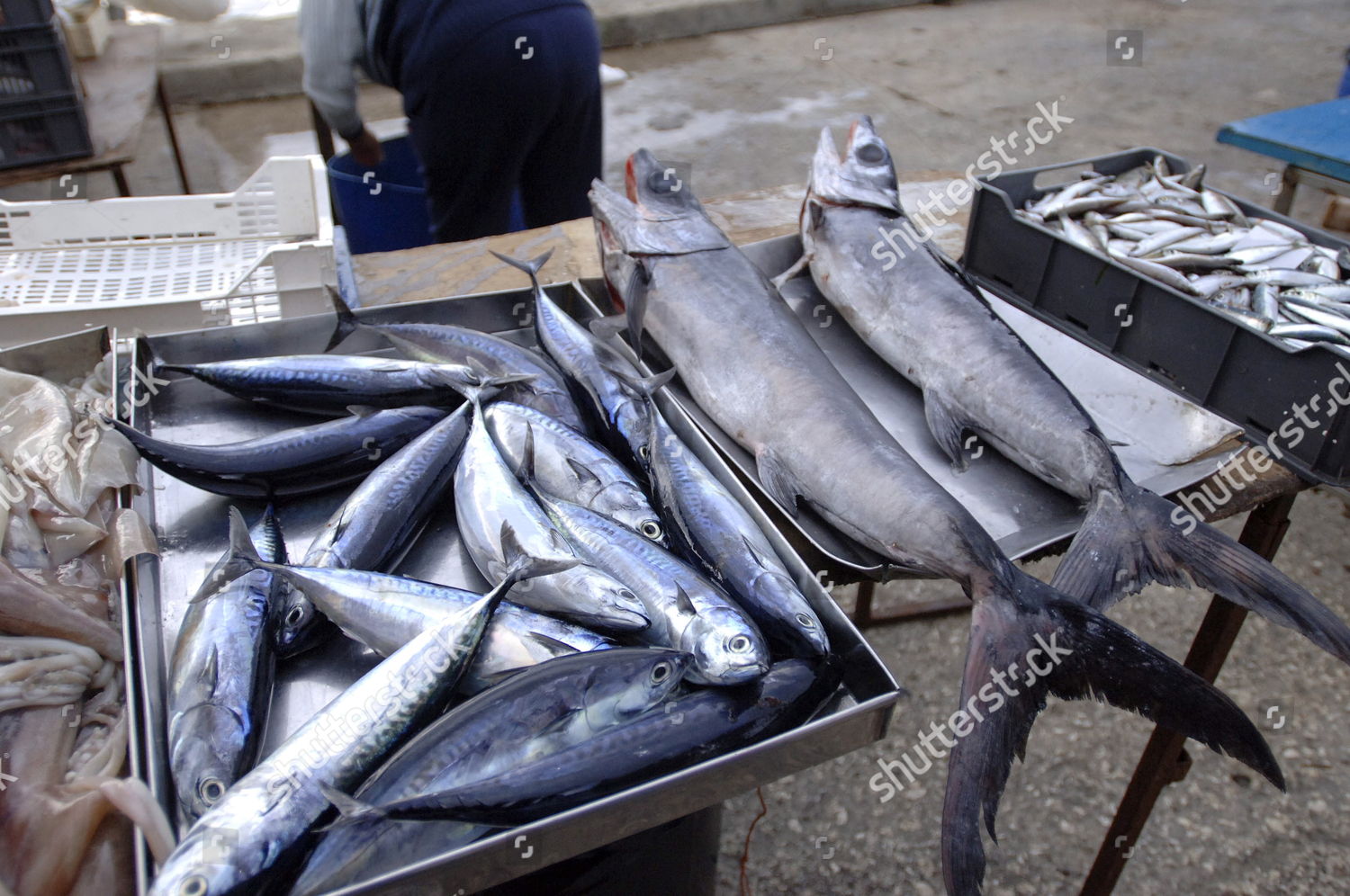 Fish Marlet Malta Editorial Stock Photo - Stock Image | Shutterstock