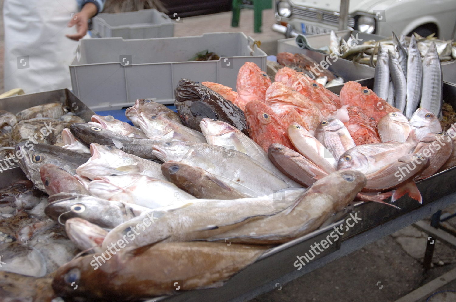 Fish Marlet Malta Editorial Stock Photo - Stock Image | Shutterstock