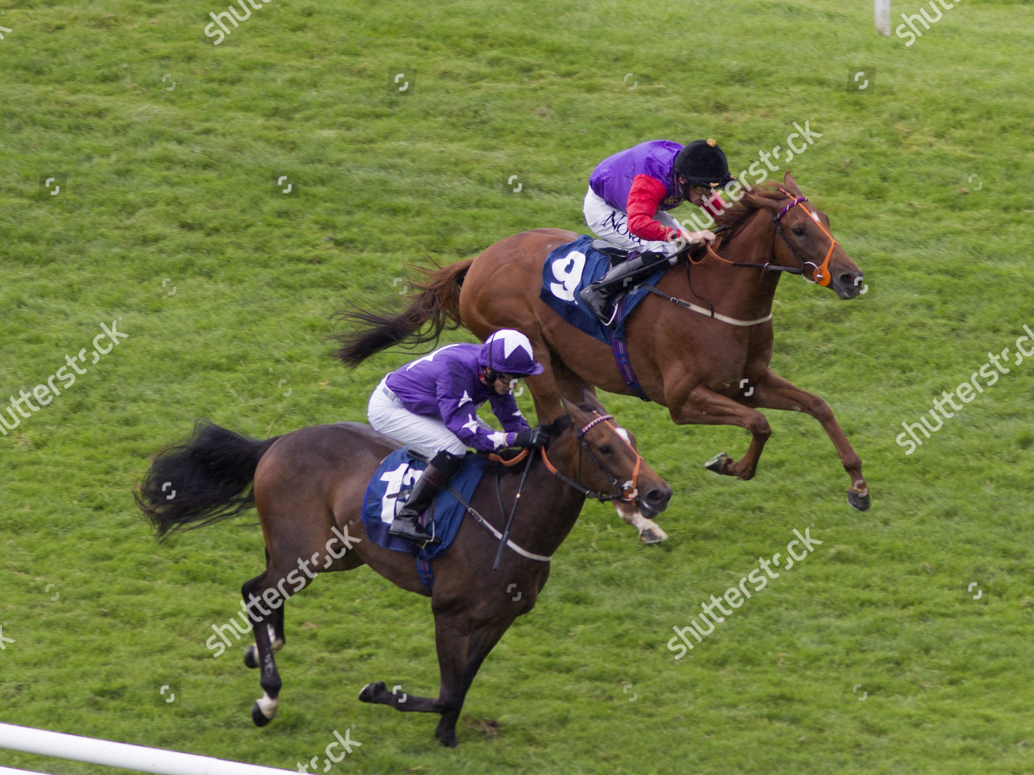 Ted Durcan Wearing Queens Colours Riding Editorial Stock Photo - Stock ...