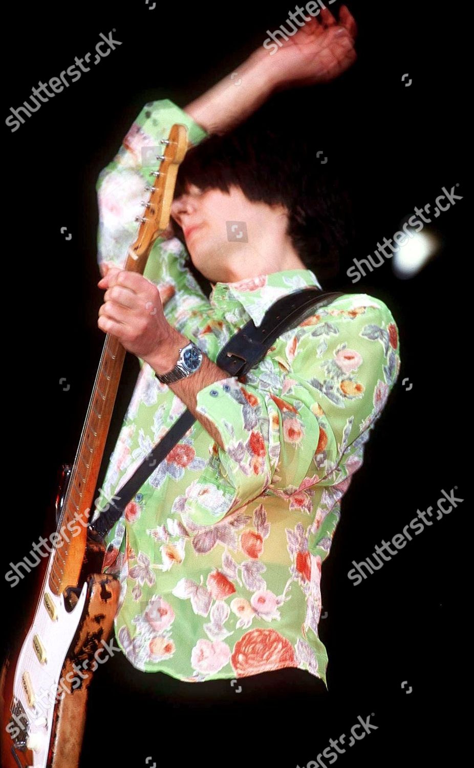 Seahorses John Squire Editorial Stock Photo - Stock Image | Shutterstock