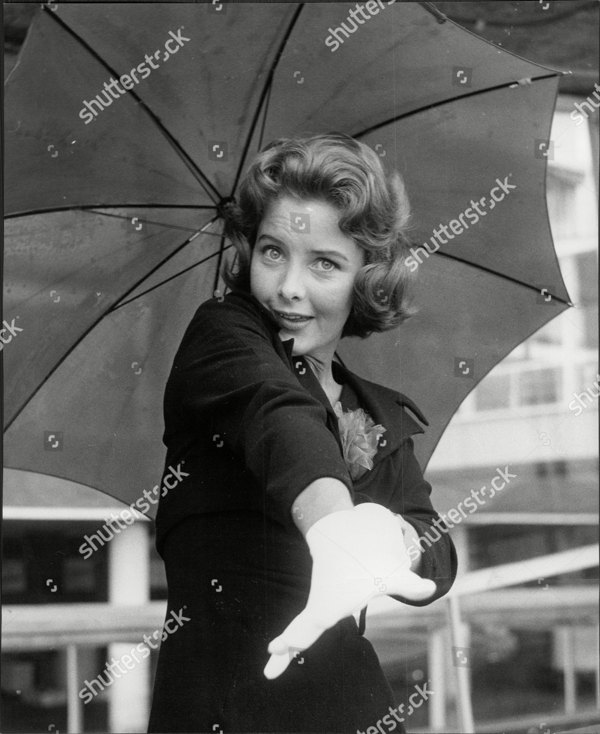 June Thorburn 8 June 1931 Oo: foto stock editoriale - Immagine stock ...