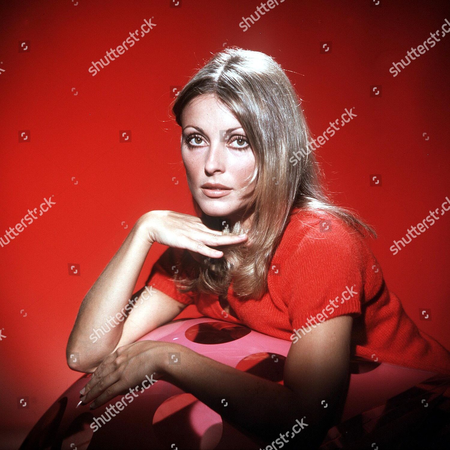 Sharon Tate 1969 Editorial Stock Photo - Stock Image | Shutterstock