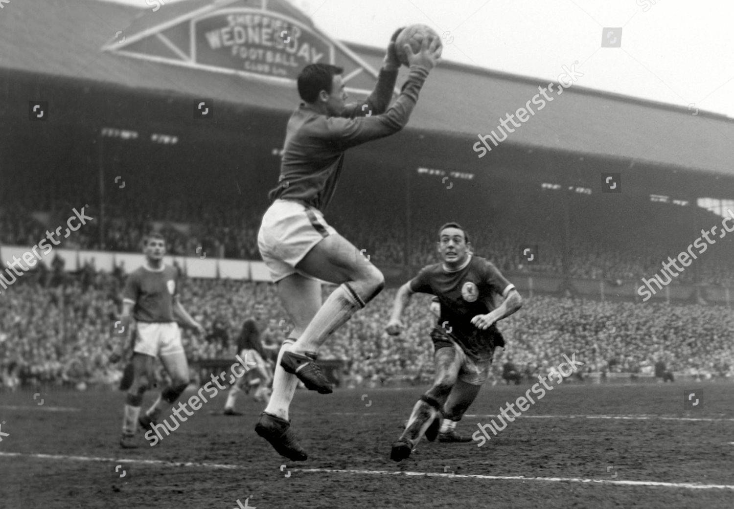 Gordon Banks Leicester Gathers Ball On Editorial Stock Photo - Stock ...