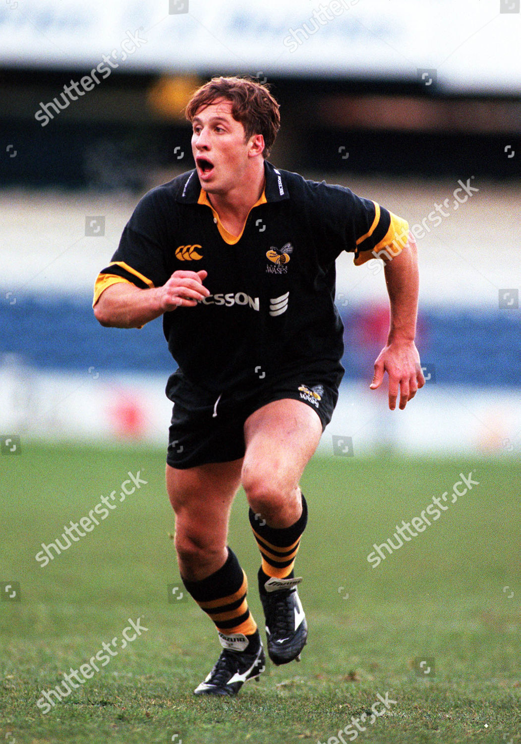 Mark Denney Wasps Wasps V Bougoin Editorial Stock Photo - Stock Image ...