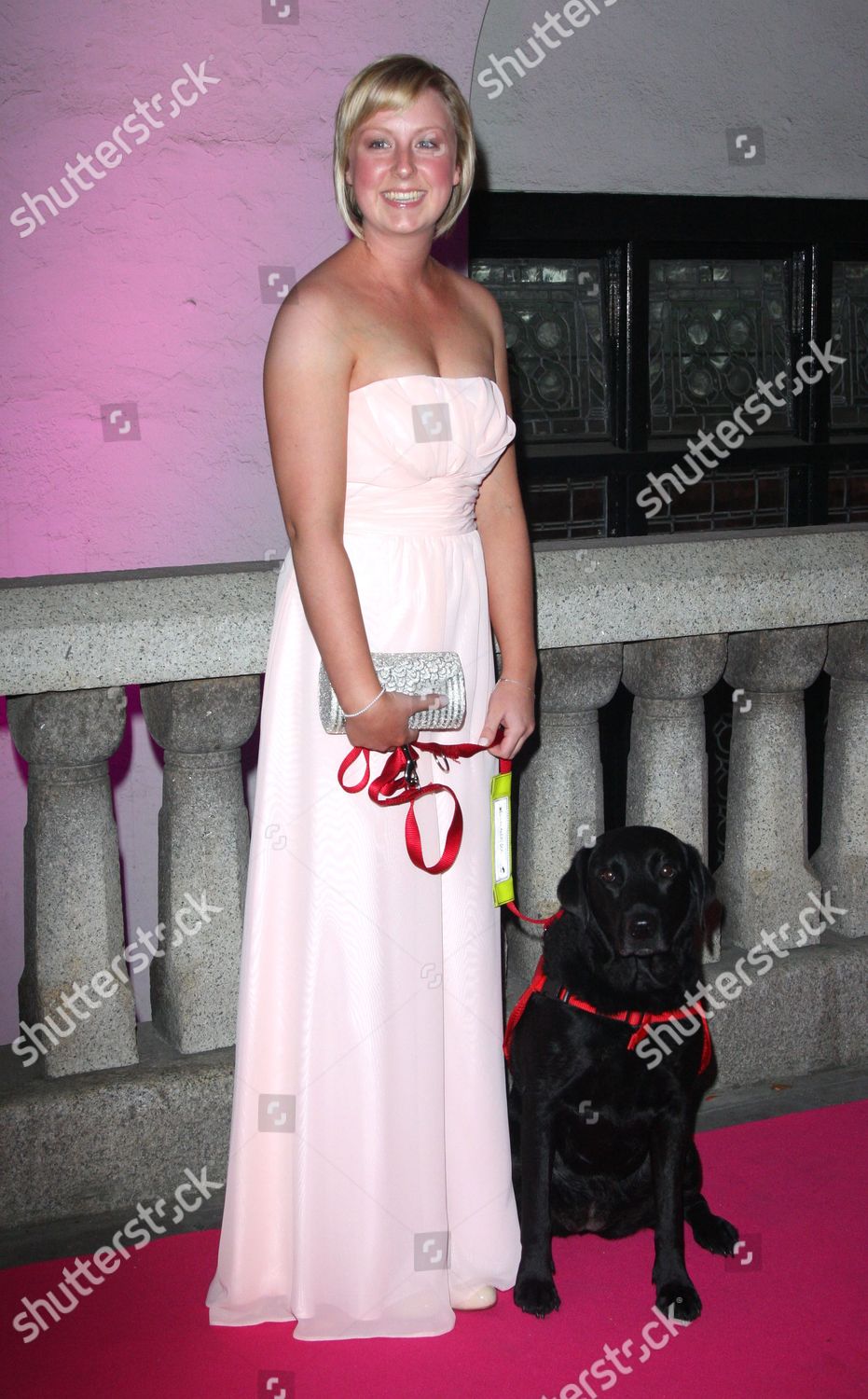 Alice Halstead Dog Holly Editorial Stock Photo - Stock Image | Shutterstock