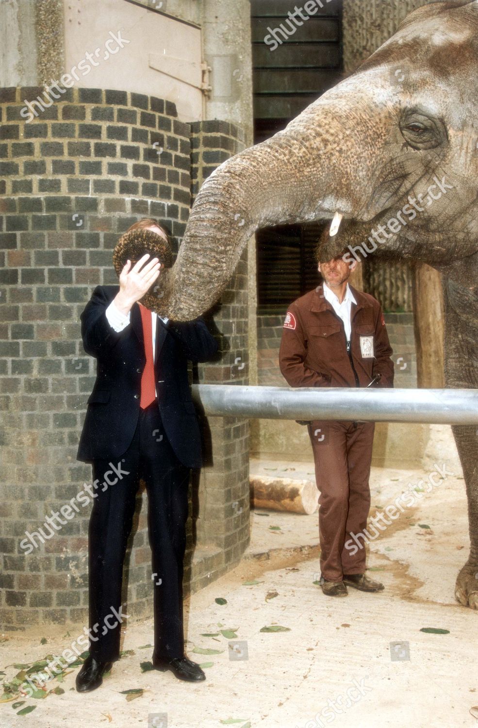 John Gummer Elephant Dilberta Keeper Brian Editorial Stock Photo ...