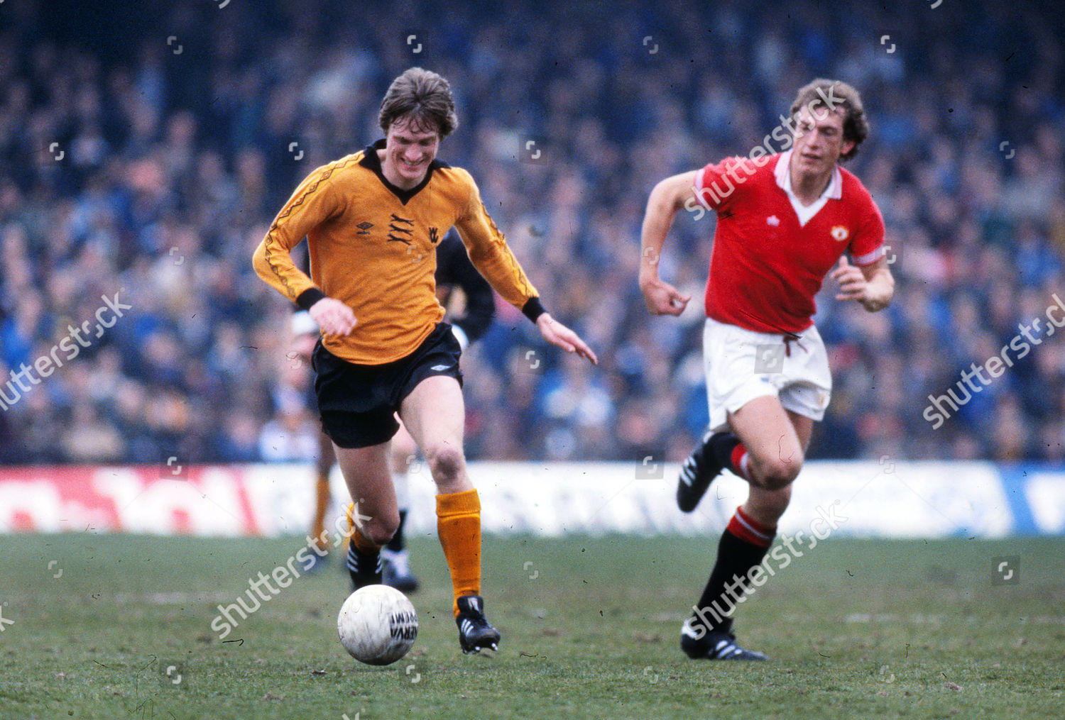 Mel Eves Wolves Stewart Houston Man Editorial Stock Photo - Stock Image ...