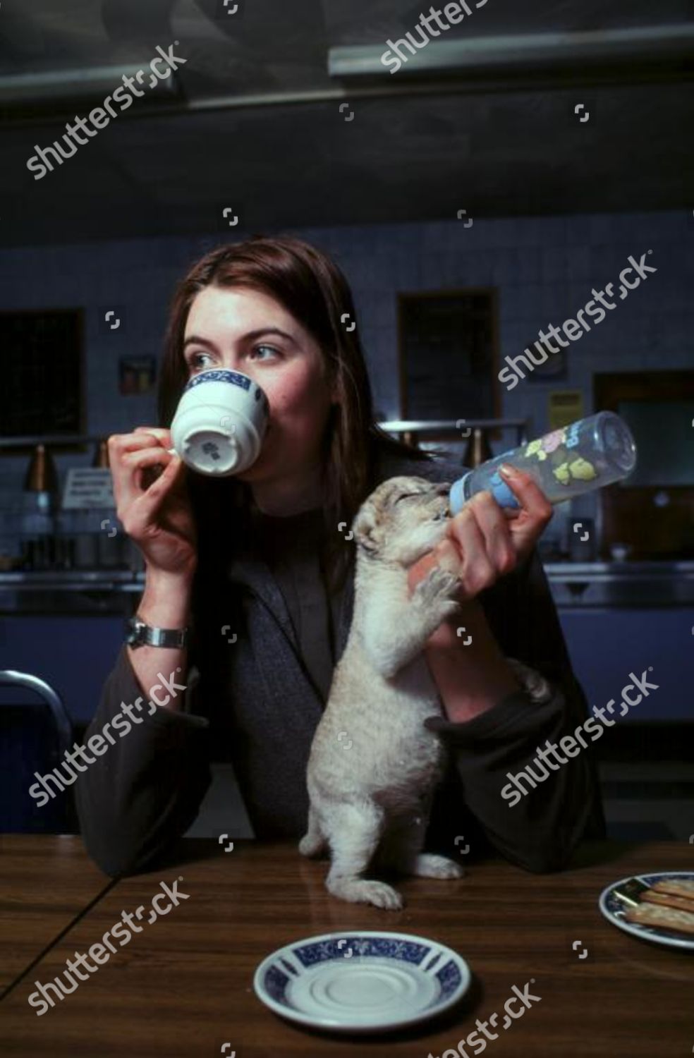 Kate Baron Hand Rearing Lion Cub Editorial Stock Photo - Stock Image ...