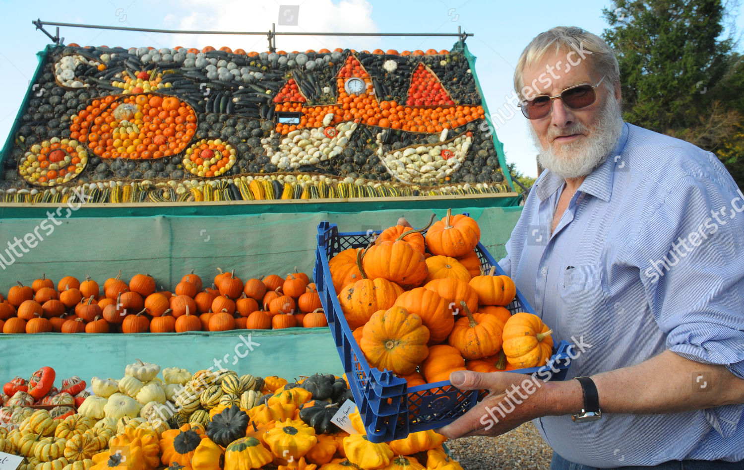Owner Robin Upton His Display Gourds Editorial Stock Photo - Stock ...