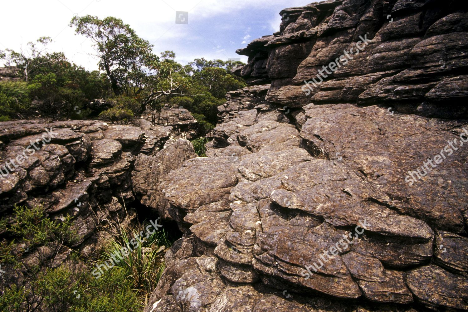Sandstone Rocks Part Ridges Grampians National Editorial Stock Photo ...