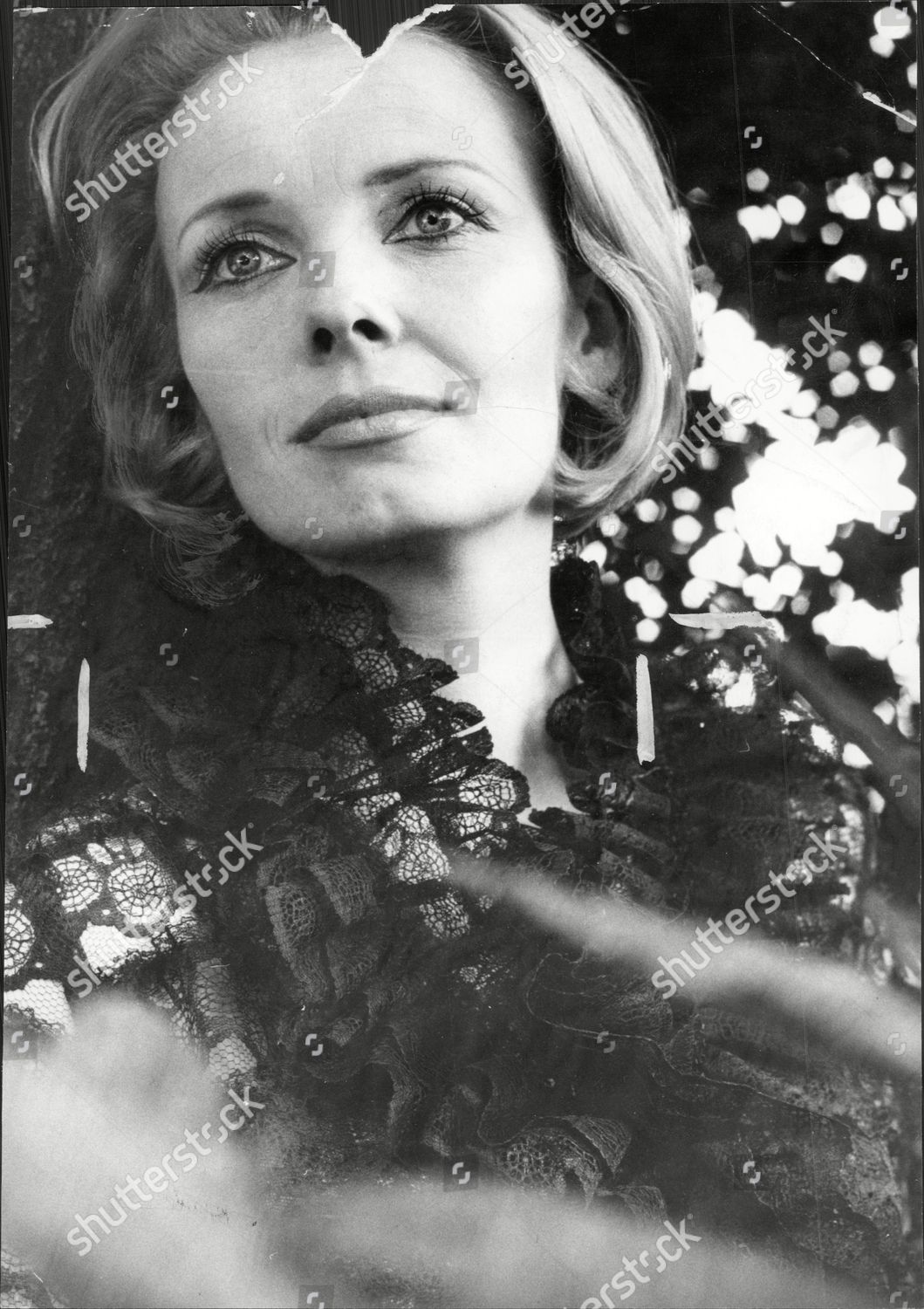 Elizabeth Shepherd Born 12 August 1936 Editorial Stock Photo - Stock ...