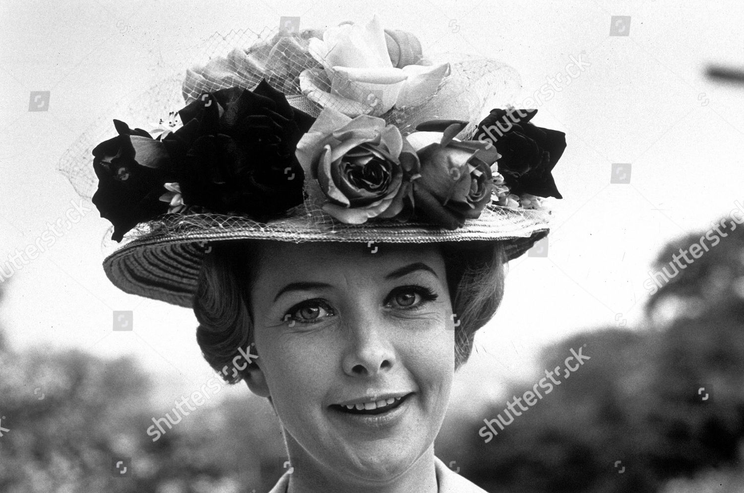 June Thorburn June 1966 Editorial Stock Photo - Stock Image | Shutterstock