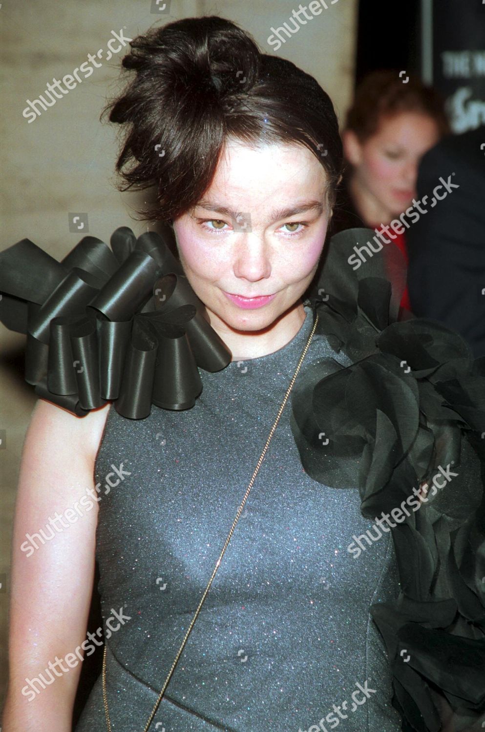 Bjork 38th Annual New York Film Editorial Stock Photo - Stock Image ...