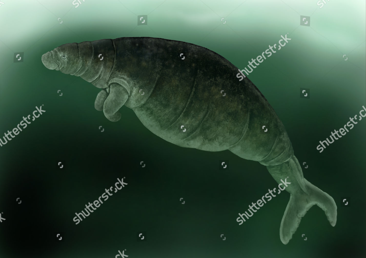 Stellers Sea Cow Hydrodamalis Gigas Extinct Editorial Stock Photo ...