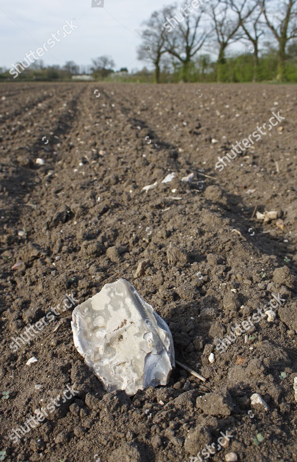 Flint On Soil Cultivated Arable Field Editorial Stock Photo - Stock ...