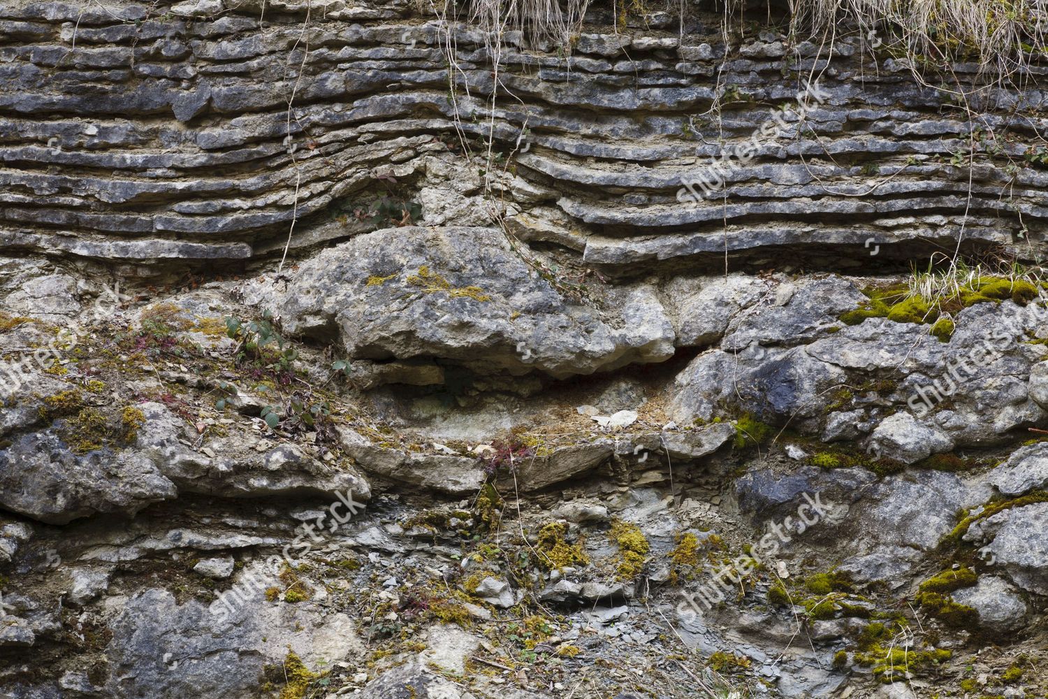 Silurian Limestone Quarry Showing Layered Bedding Editorial Stock Photo ...