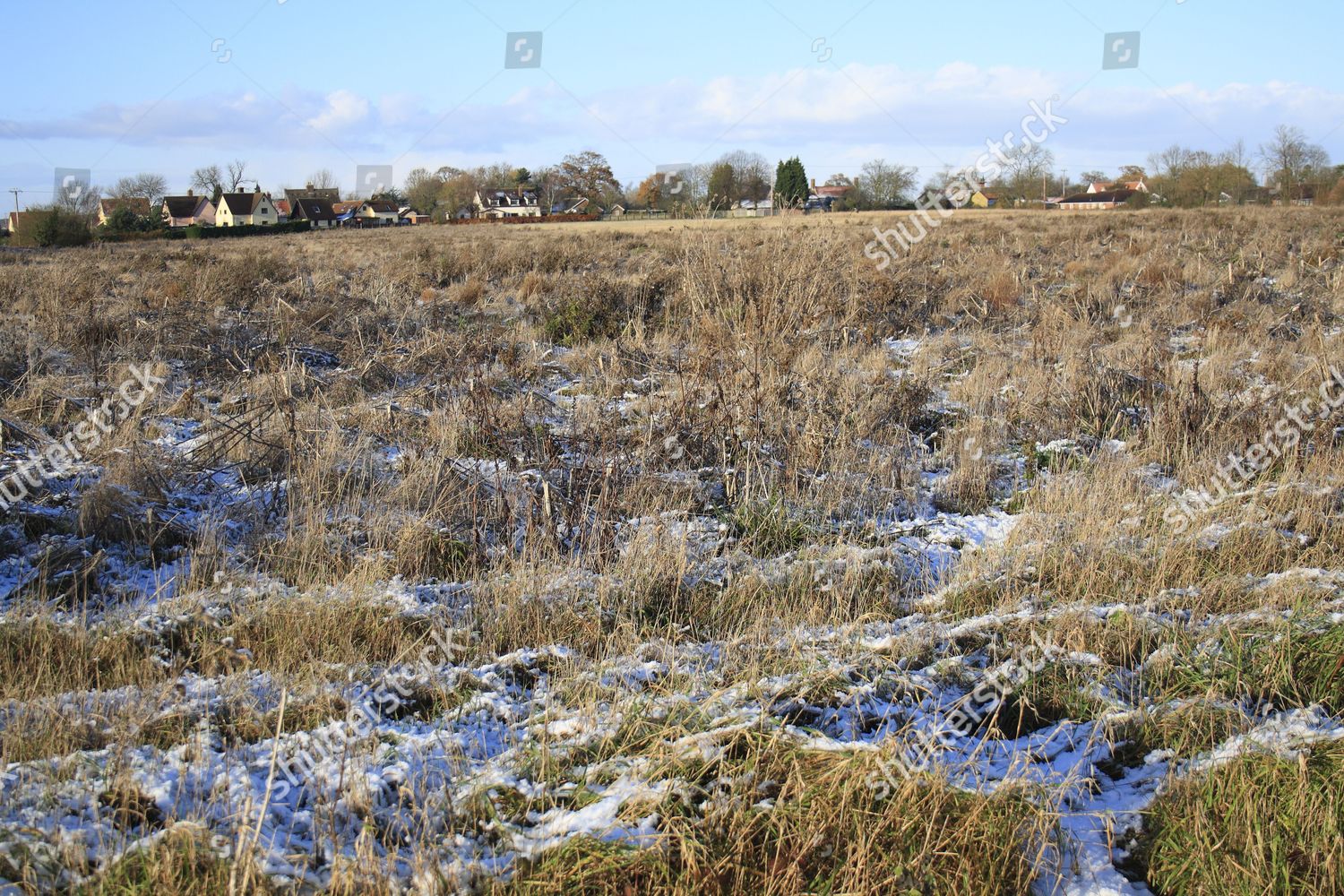 Snow Covered Setaside Field Bacton Suffolk Editorial Stock Photo ...