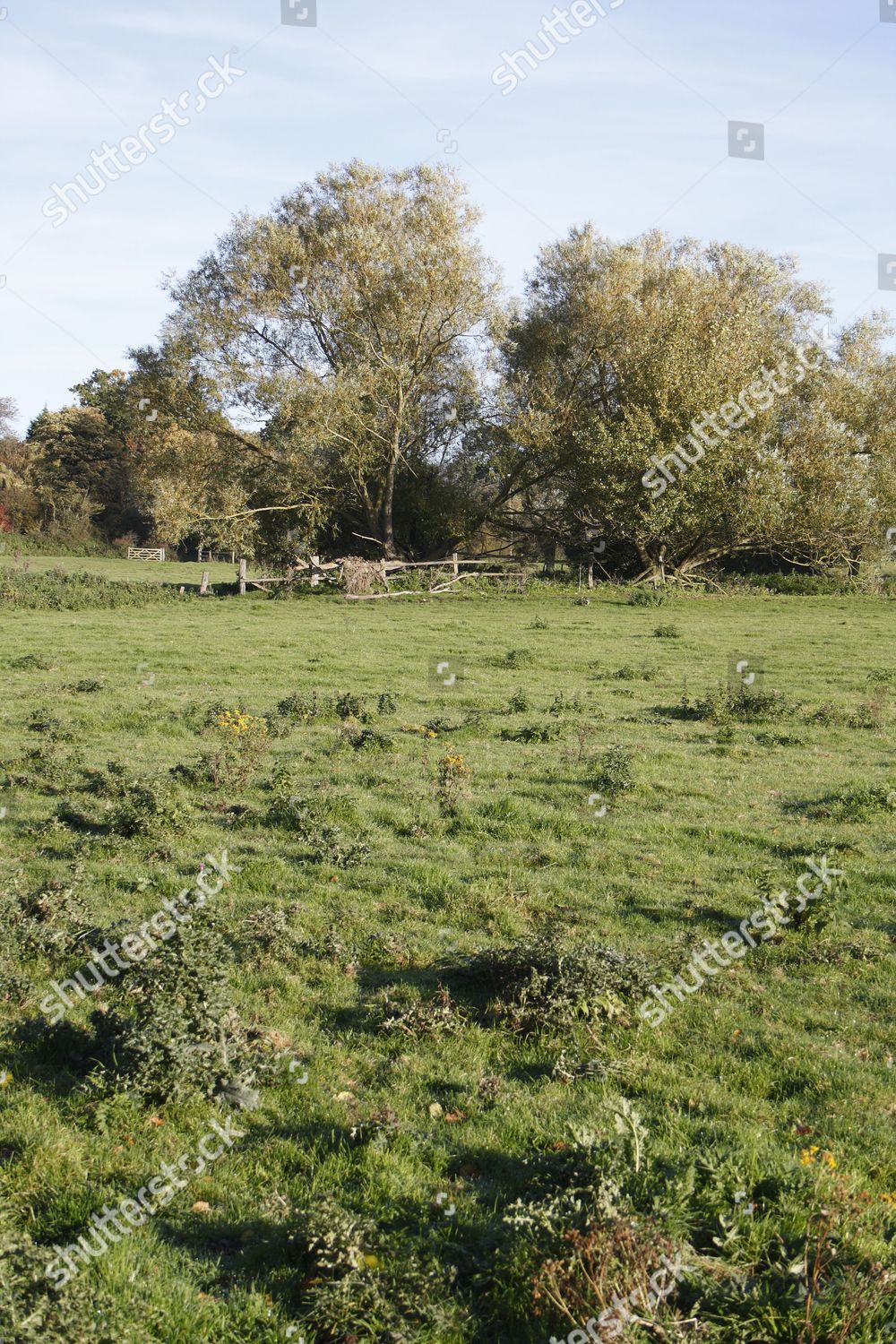Unimproved Wet Grazing Meadow River Dove Editorial Stock Photo - Stock ...