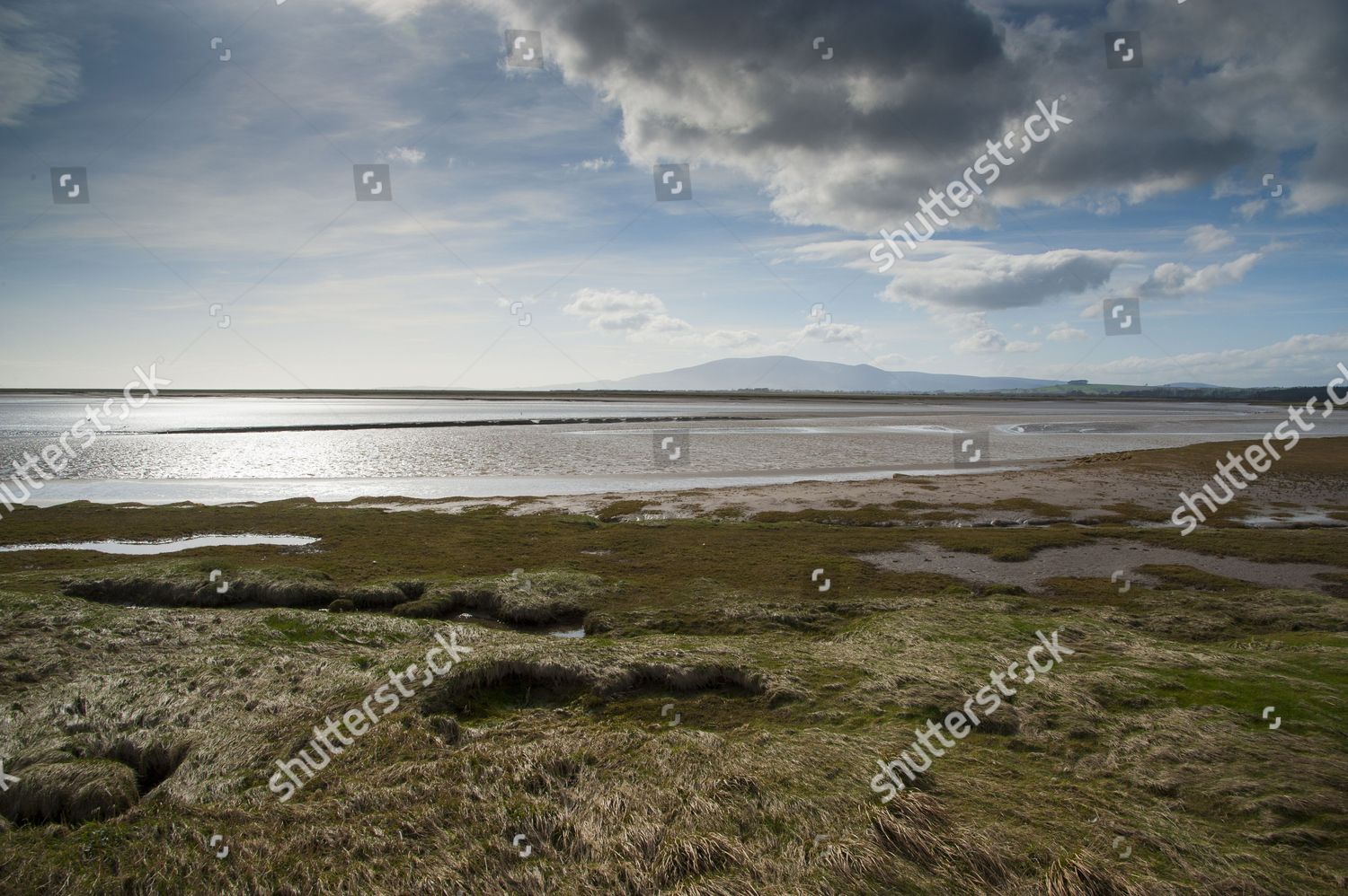 View Estuary Habitat Solway Firth Caerlaverock Editorial Stock Photo ...