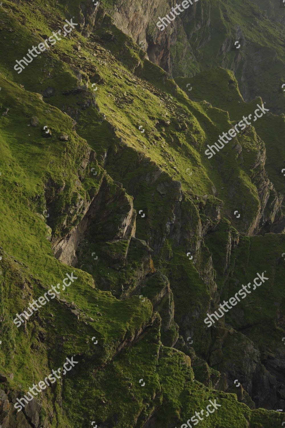 Coastal Cliff Habitat Hermaness Unst Shetland Editorial Stock Photo ...