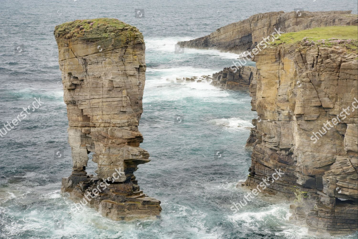 Sea Cliffs Offshore Stack Yesnaby Castle Editorial Stock Photo - Stock ...