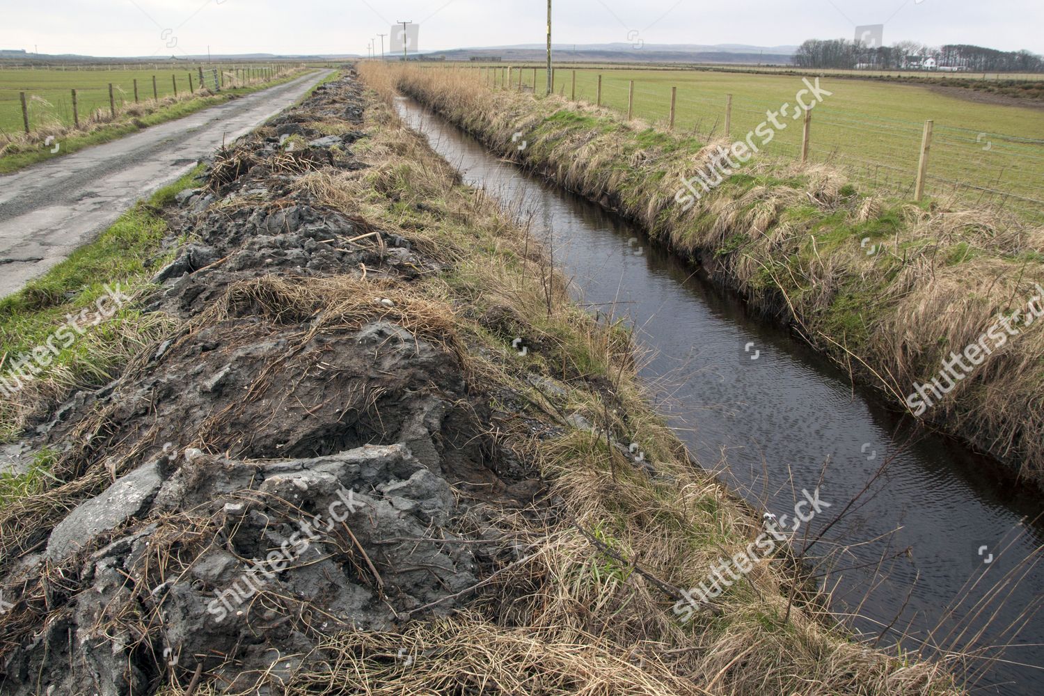 Newly Cleared Ditch Showing Mud Reed Editorial Stock Photo - Stock ...