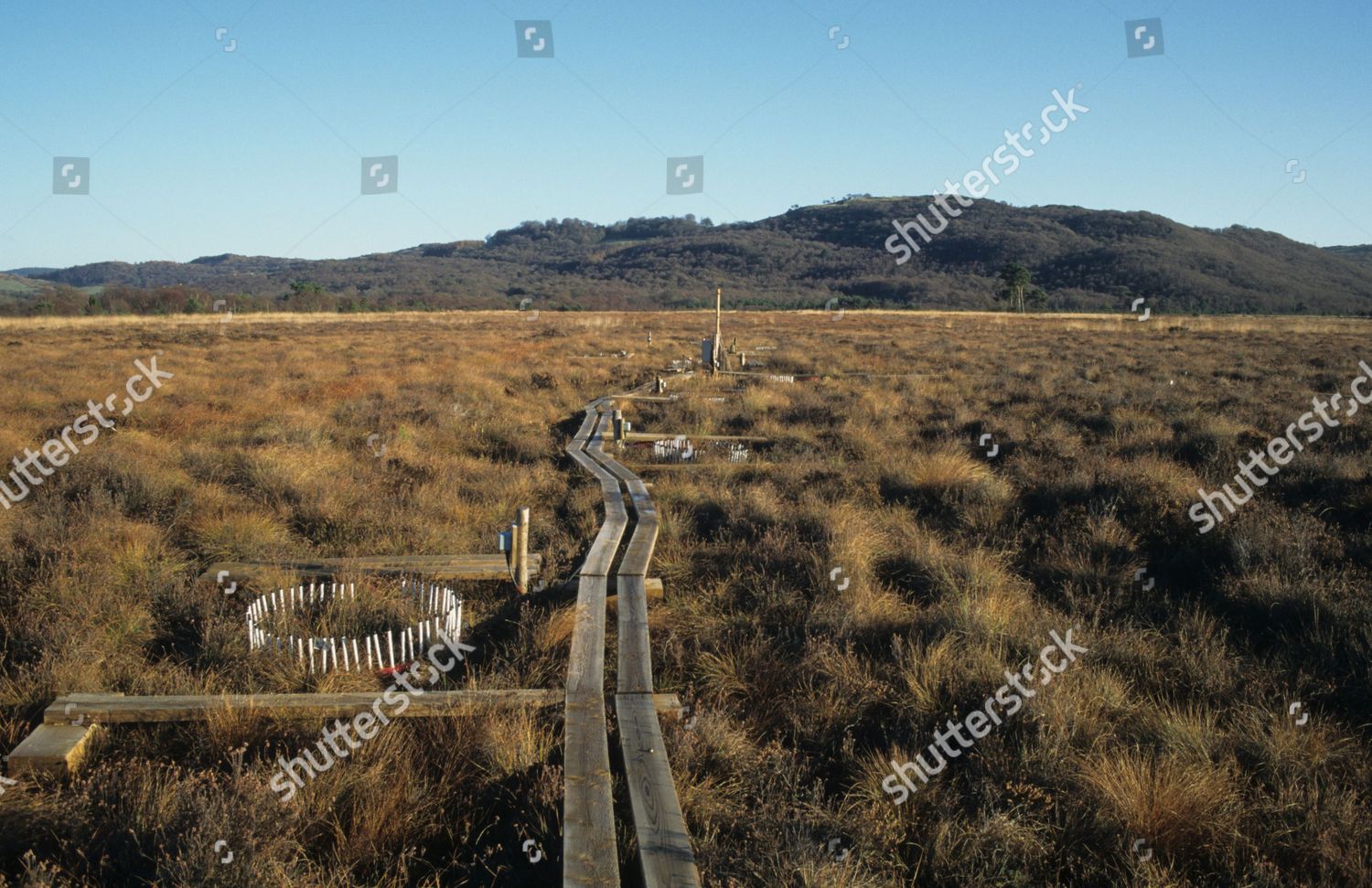 Lowland Raised Mire Habitat Site Monitoring Editorial Stock Photo ...