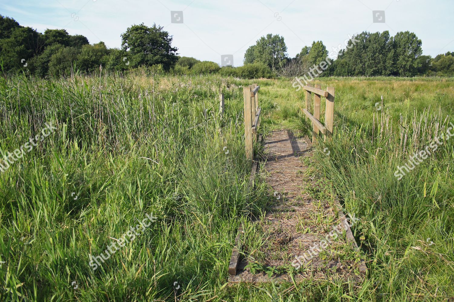 Footbridge Over Ditch Wet Fen Meadow Editorial Stock Photo - Stock ...
