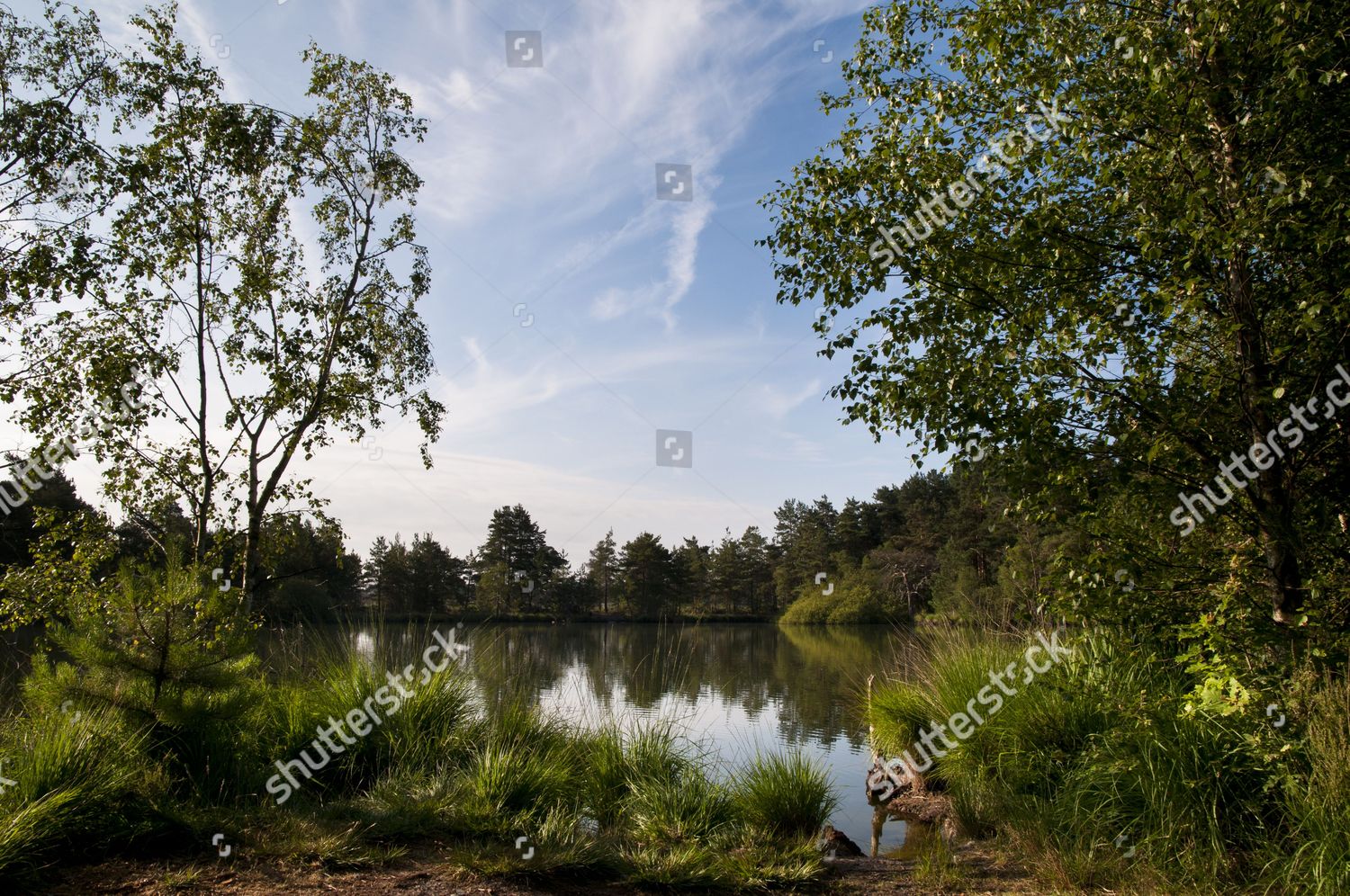 Pond Habitat Moat Thursley Common National Editorial Stock Photo ...