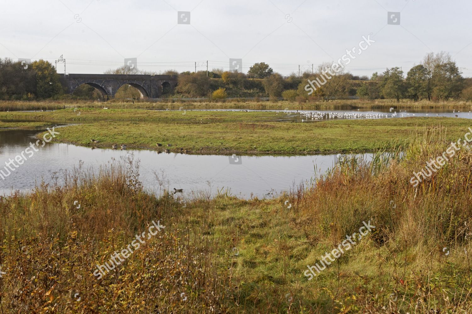 Flooded Former Gravel Pit Habitat Marsh Editorial Stock Photo - Stock ...