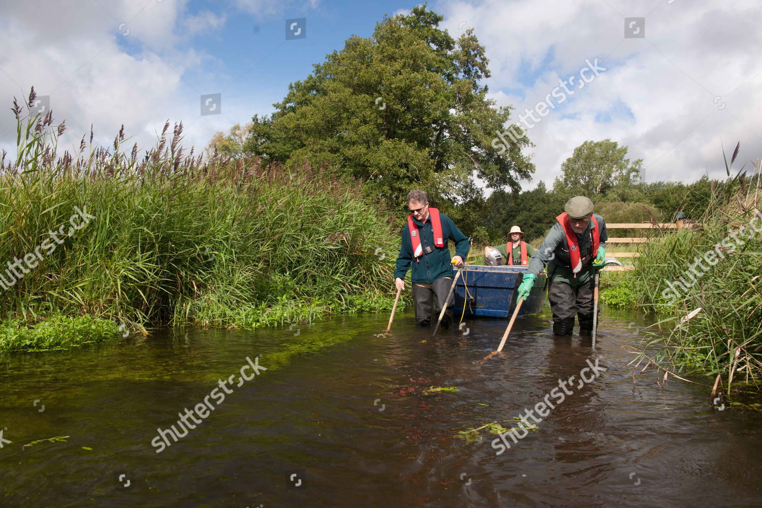 Conservation Workers Netting River During Survey Editorial Stock Photo ...