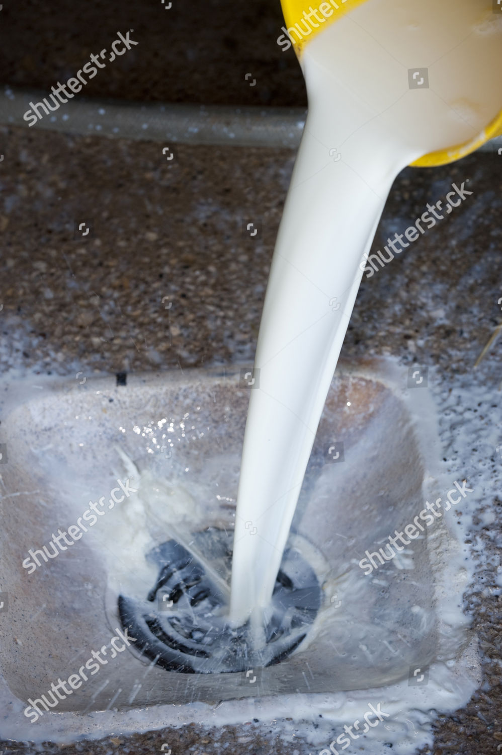 Dairy Farming Pouring Waste Milk Down Editorial Stock Photo - Stock ...