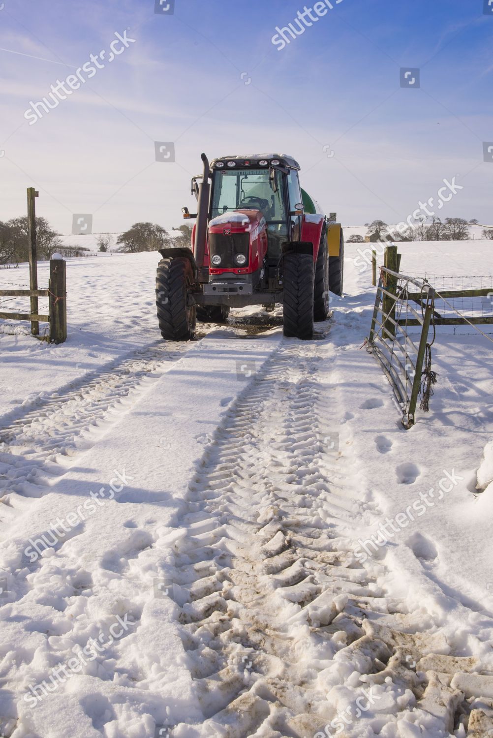 Massey Ferguson 5465 Tractor Slurry Tanker Editorial Stock Photo ...