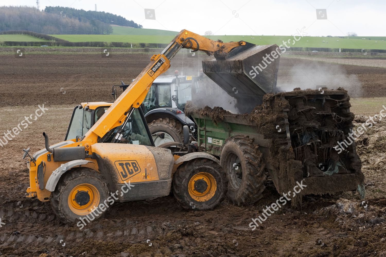 Jcb Loadall Telehandler Loading Muck Into Editorial Stock Photo - Stock ...