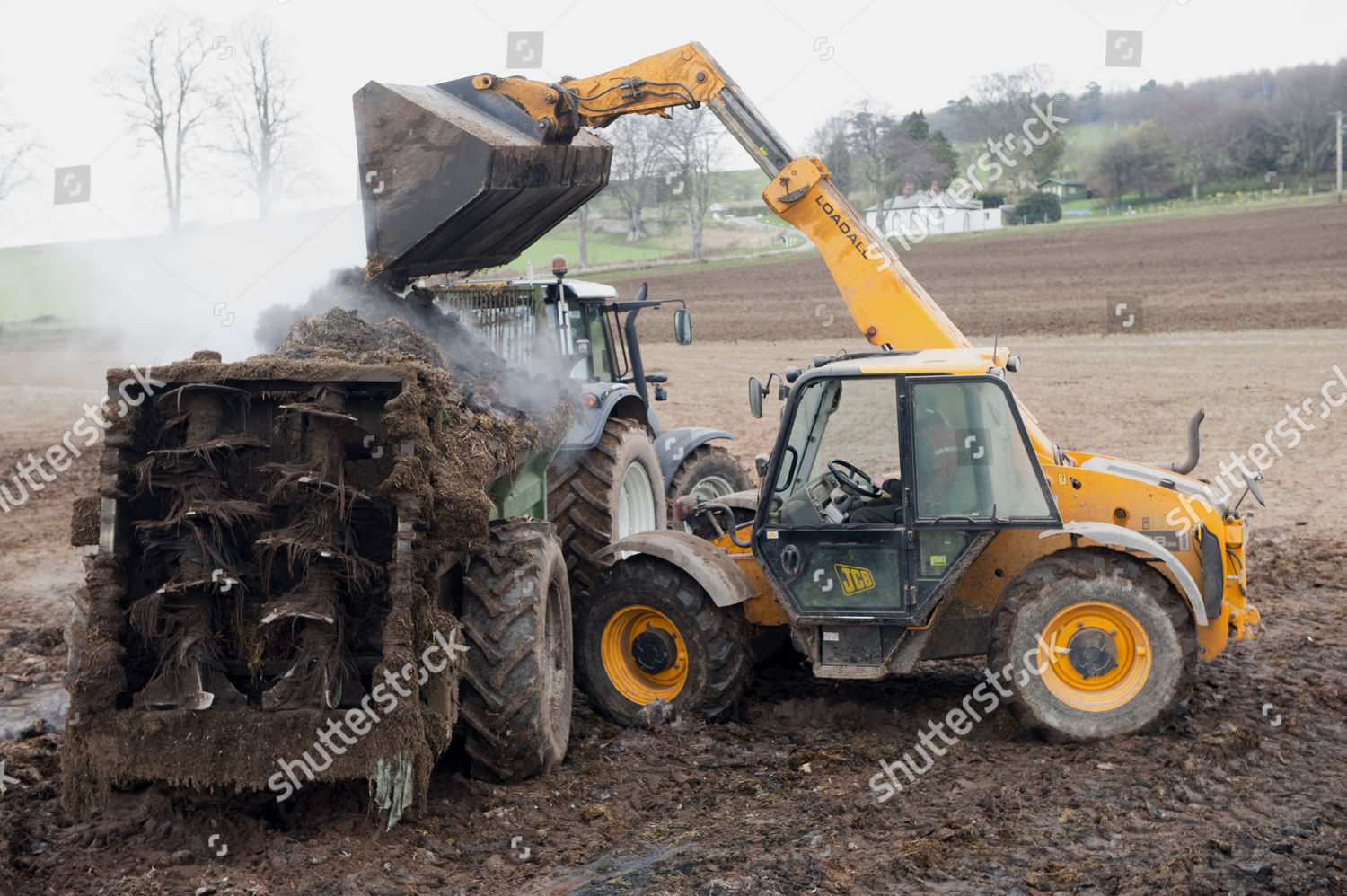 Jcb Loadall Telehandler Loading Muck Into Editorial Stock Photo - Stock ...