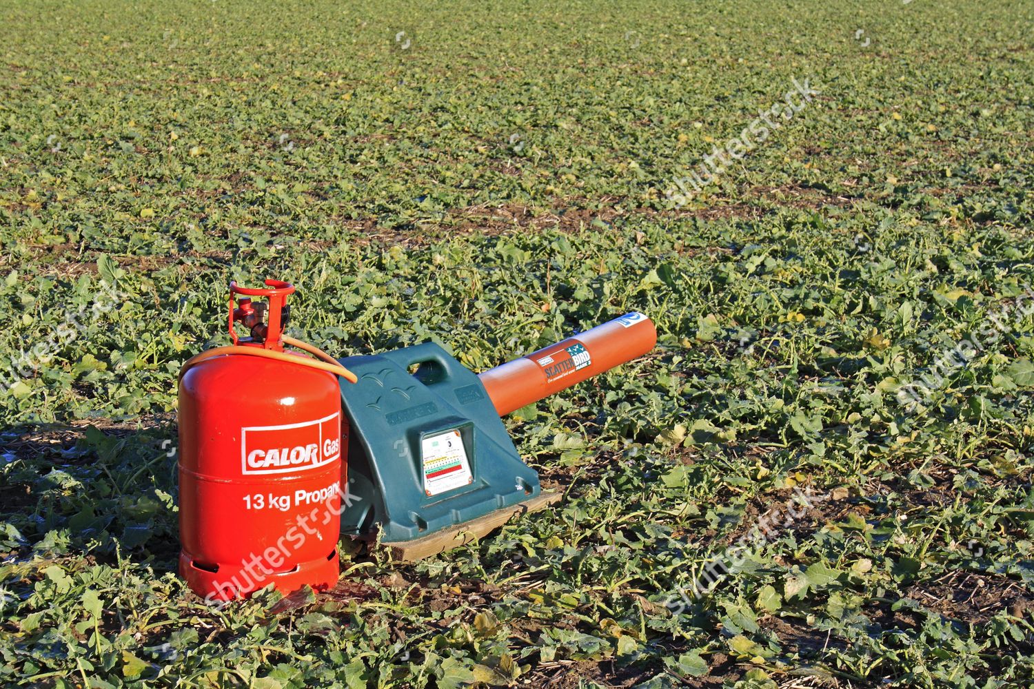 Gasgun Gas Powered Bird Scarer Oilseed Editorial Stock Photo - Stock ...