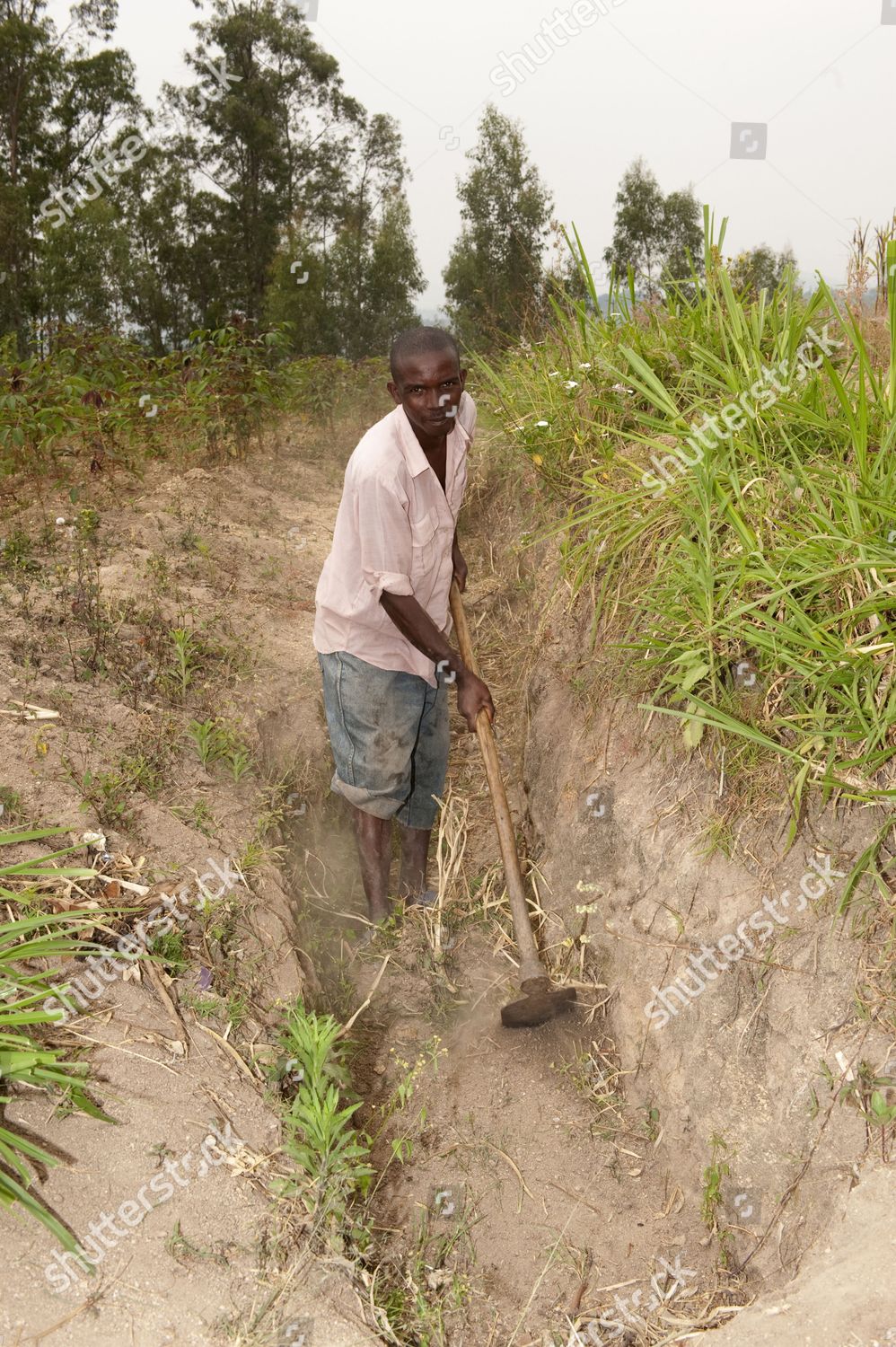 Farmer Digging Ditch On Hillside Help Editorial Stock Photo - Stock ...