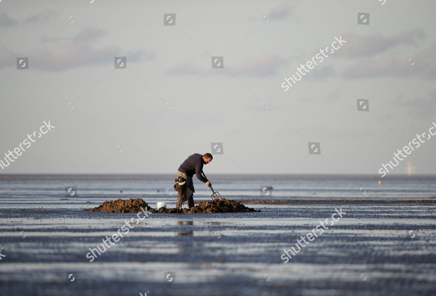Sea Angler Bait Digging Worms On Editorial Stock Photo - Stock Image ...