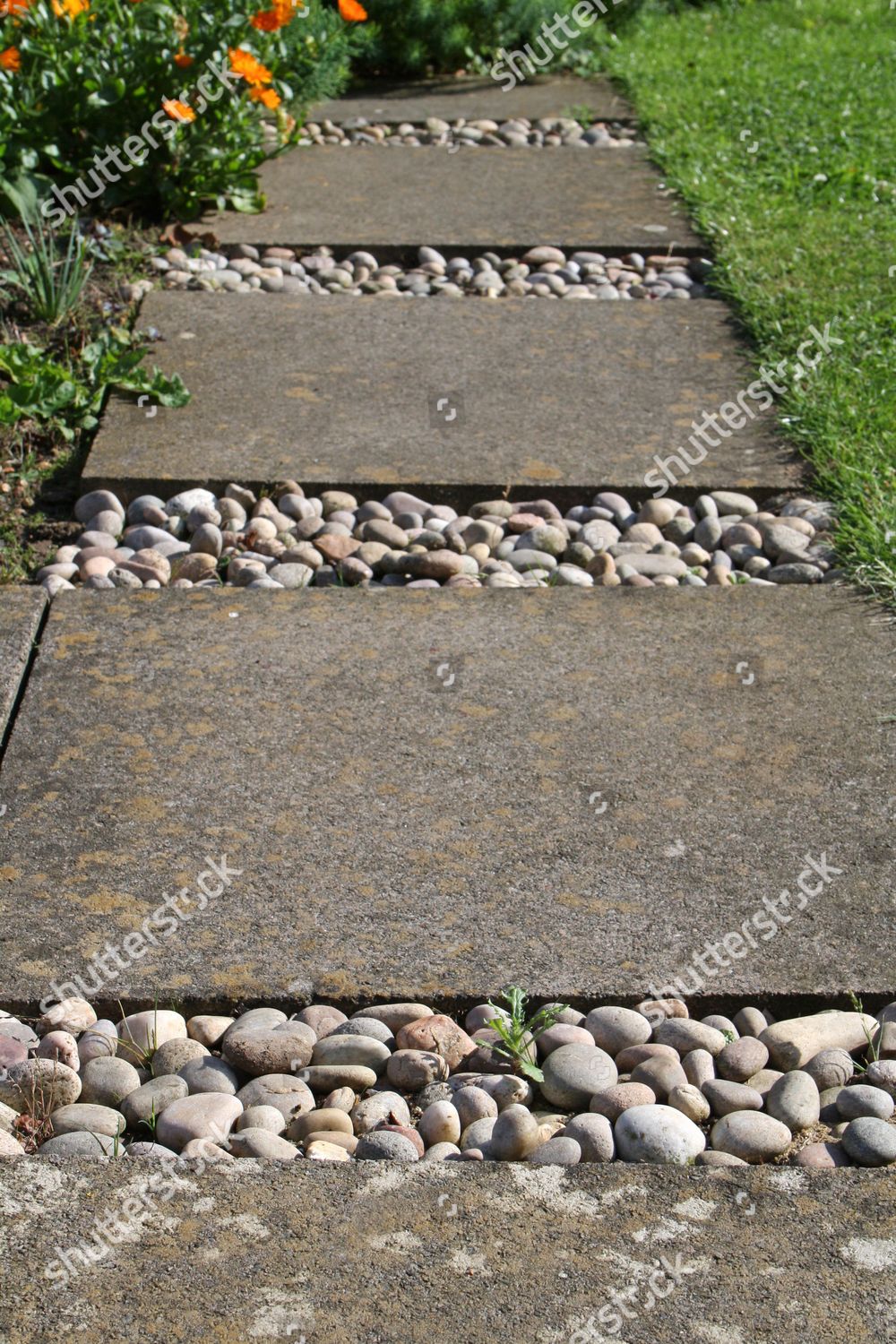 Garden Path Pebbles Concrete Slabs Suffolk Editorial Stock Photo ...