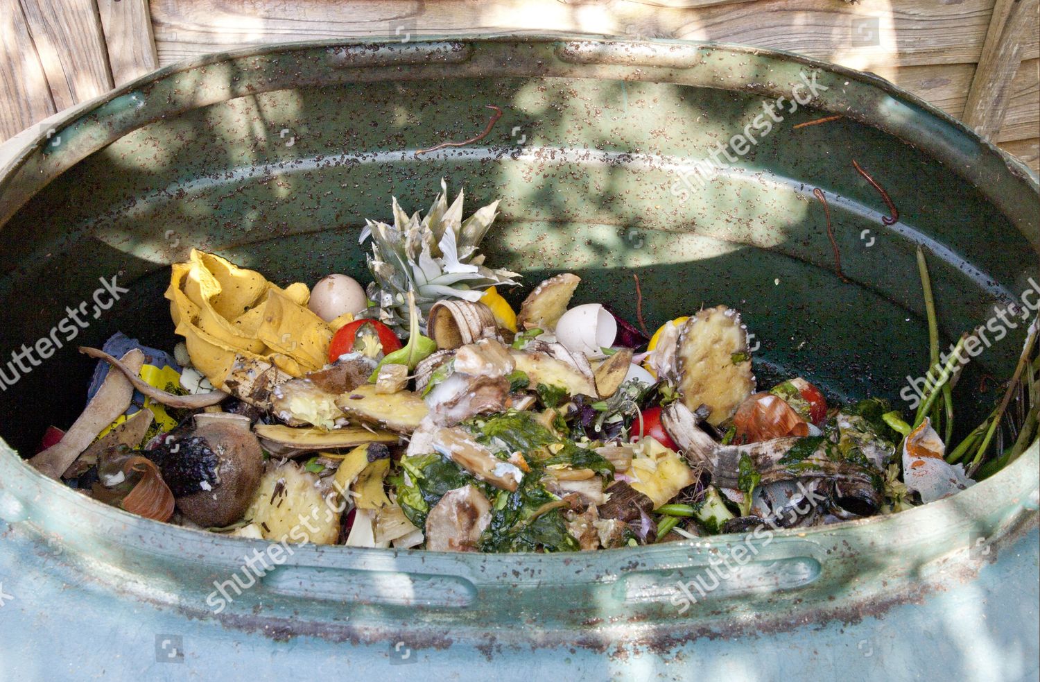 Plastic Garden Compost Bin Rotting Fruit Editorial Stock Photo - Stock ...