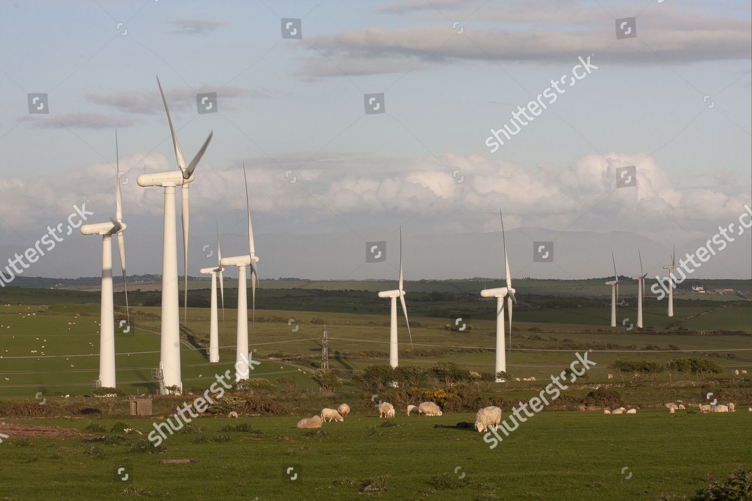 Wind Turbines On Windfarm Sheep Grazing Editorial Stock Photo - Stock ...