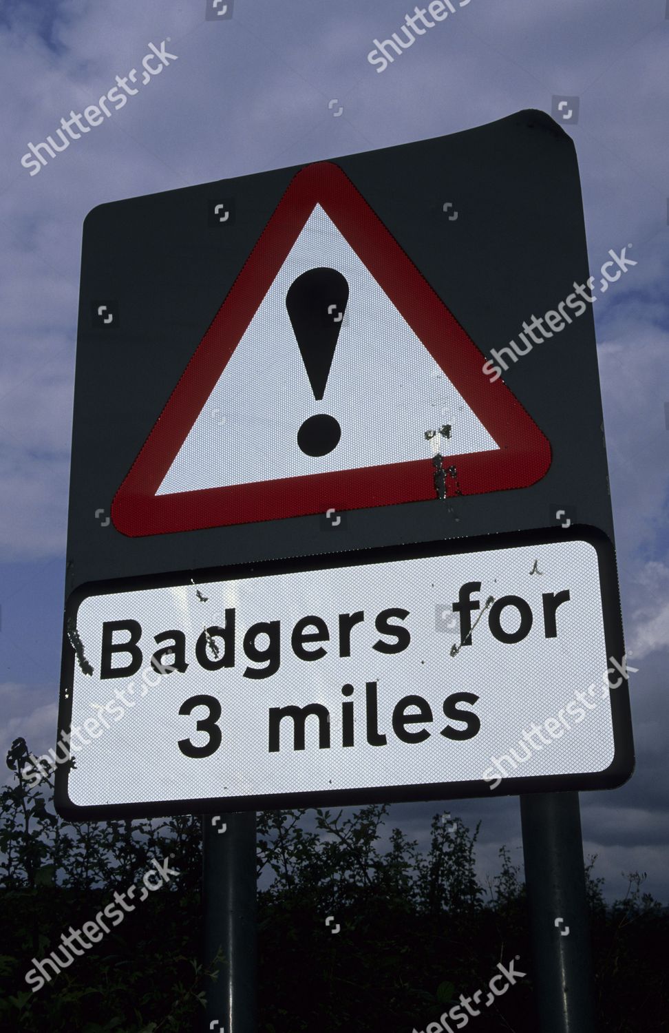 Badgers 3 Miles Warning Sign Eurasian Editorial Stock Photo - Stock ...
