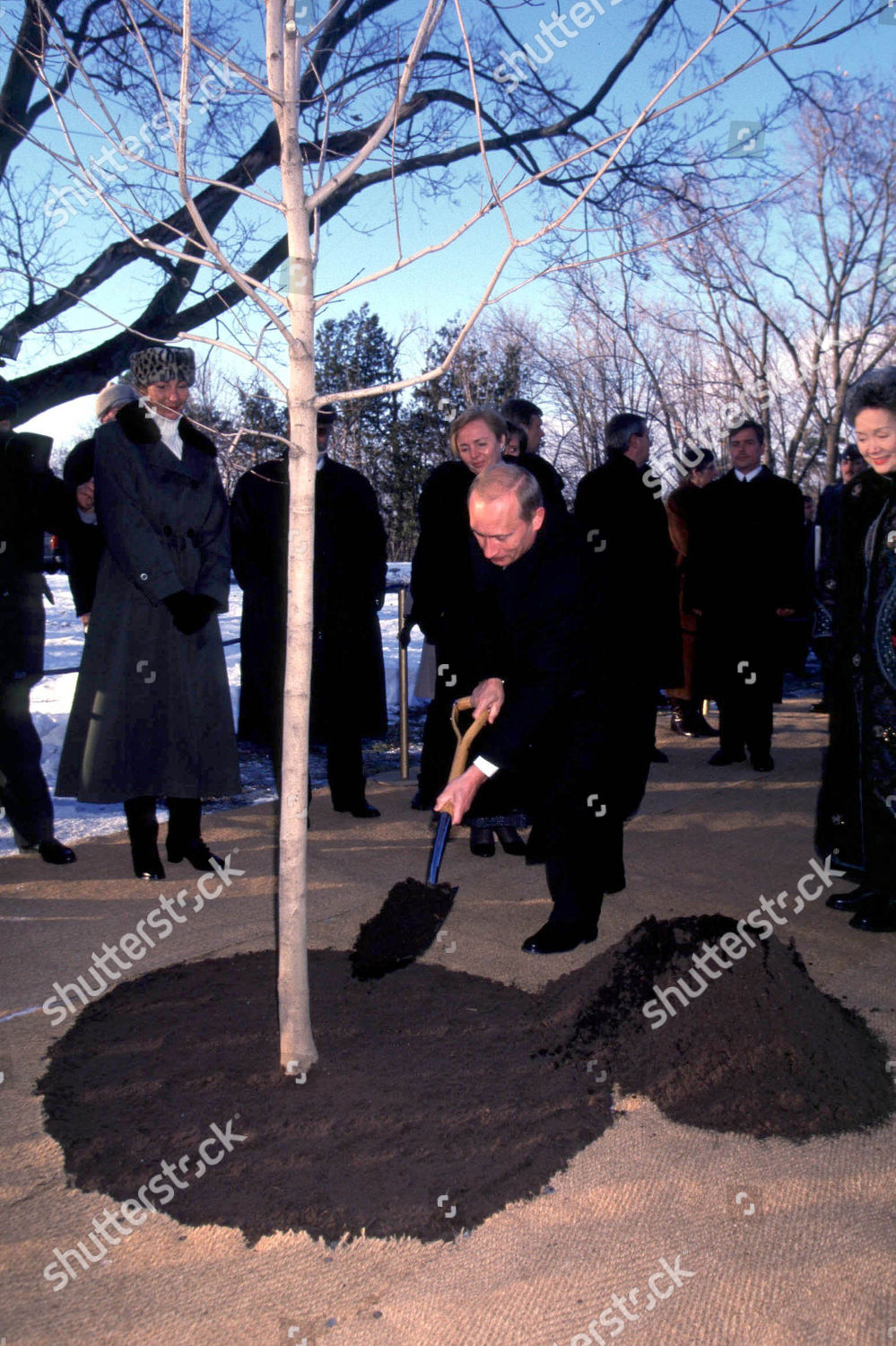 VLADIMIR PUTIN RUSSIAN PRESIDENT PLANTING MAPLE Editorial Stock Photo ...