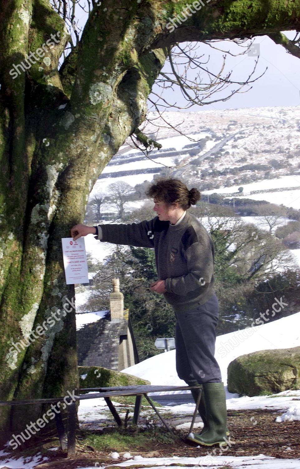 Dartmoor Ranger Farmer Sally Perryman Puts Editorial Stock Photo ...