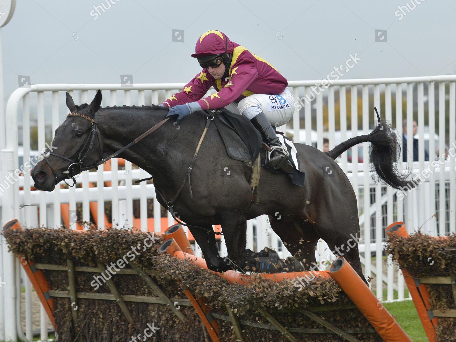Thomas Crapper Charlie Poste Takes Last Editorial Stock Photo - Stock ...