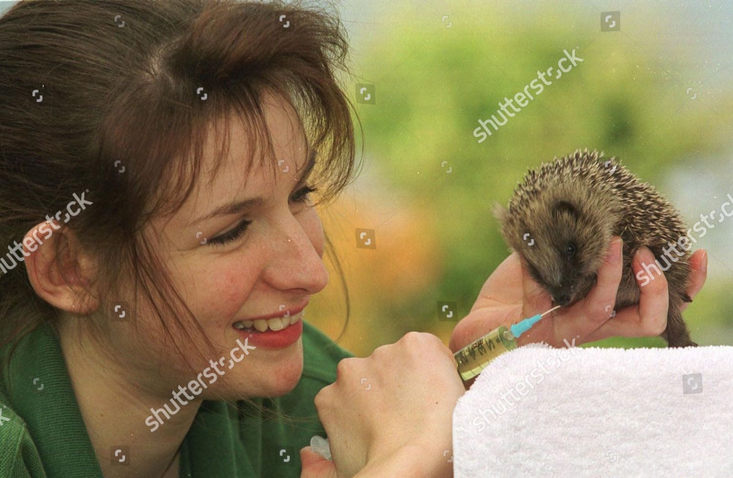 Emma Carter Rspca Wild Life Hospital Editorial Stock Photo - Stock ...